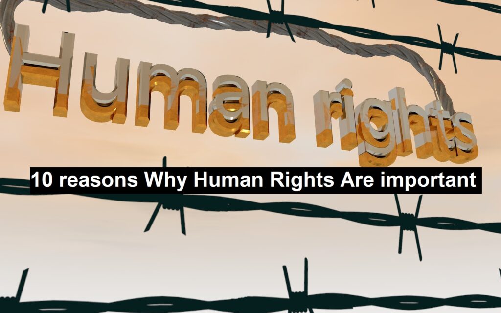 10 Reasons Why Human Rights Are Important - Laws Basics