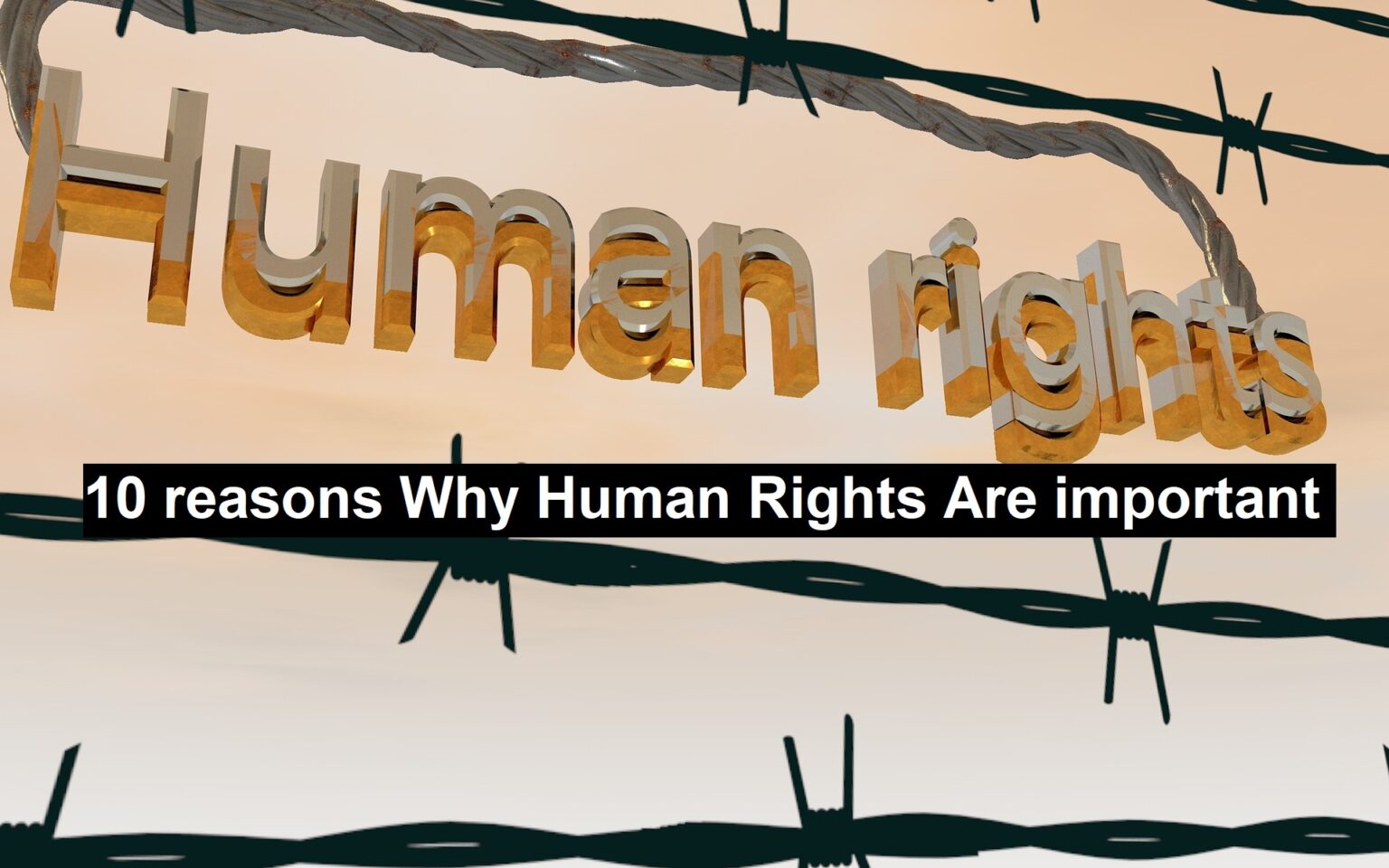 10 Reasons Why Human Rights Are Important - Laws Basics